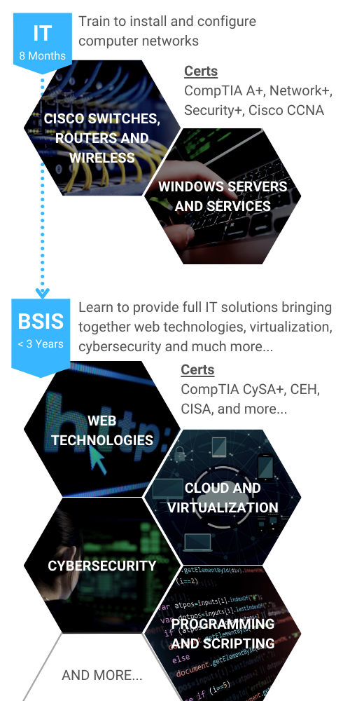 Information Technology and Information Systems Bachelors Degree ...